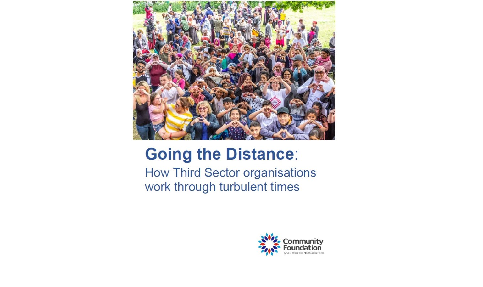 Voluntary Third-Sector Trends | Community Foundation